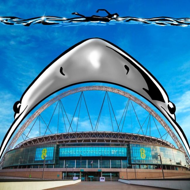 Robin Yayla Creates Illustrations On Top Of Scenic Pictures And It ...