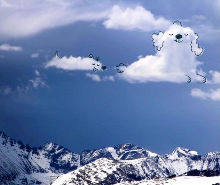 A Daily Cloud: Artist Creates Funny Doodles Of Clouds That Makes ...