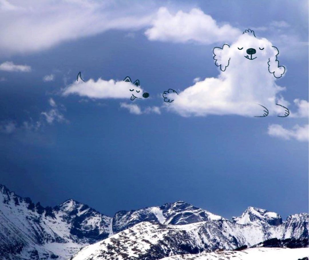 A Daily Cloud: Artist Creates Funny Doodles Of Clouds That Makes ...