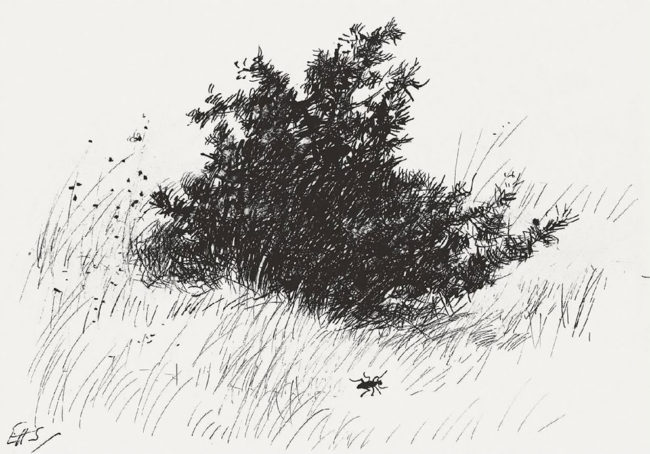Ernest Howard Shepard’s Original Drawings of Winnie the Pooh » Design ...