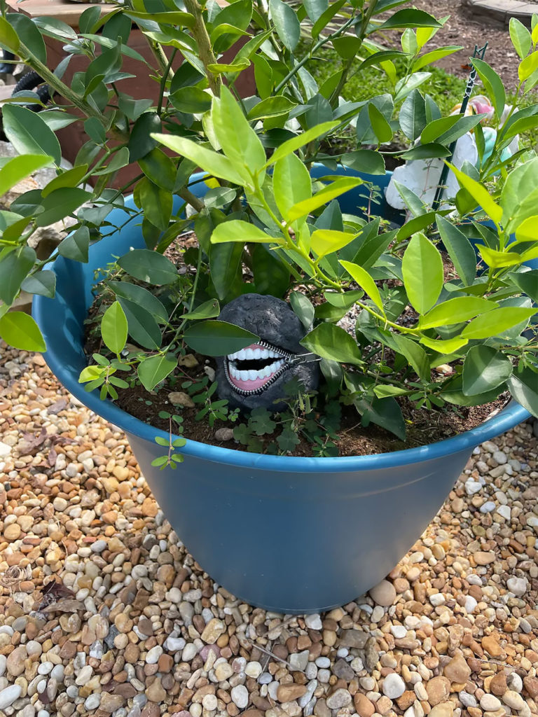 Zipper Teeth Rocks: A Superior Horror Alternative to Garden Gnomes ...