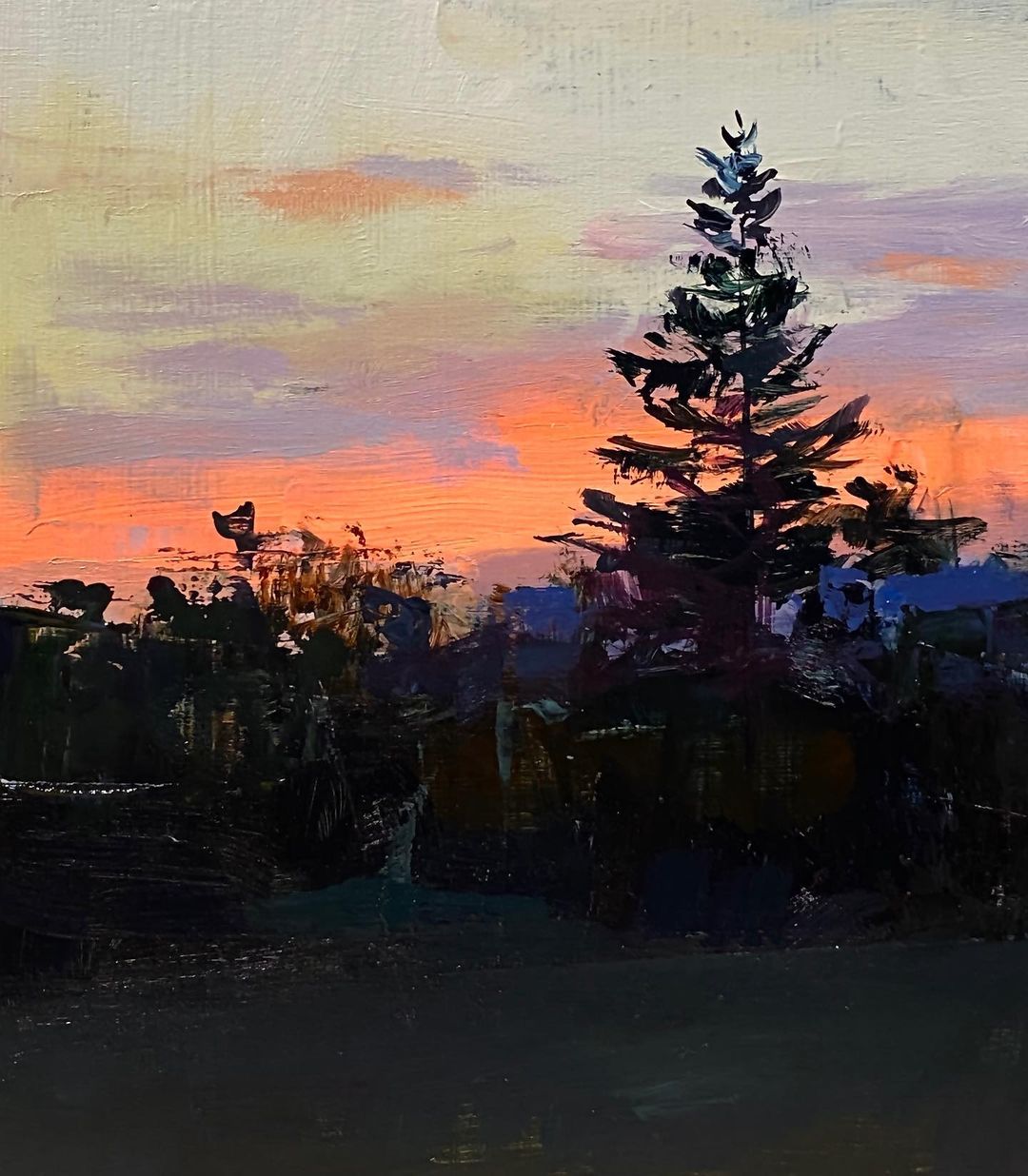 Brightening Winter Nights: Jeremy Miranda’s Festive Holiday Light ...