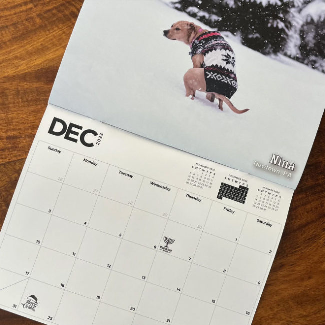 Finally, the 2023 Pooping Dogs Calendar Is Finally Here! » Design You ...