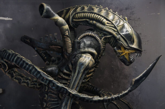 Artist Has Spent 10 Weeks Transforming Foam Into a Life-Size Xenomorph ...