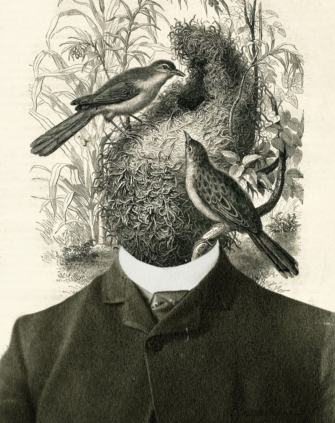 Duplicity: Intriguing Mixed Media Collages by Matthieu Bourel » Design ...