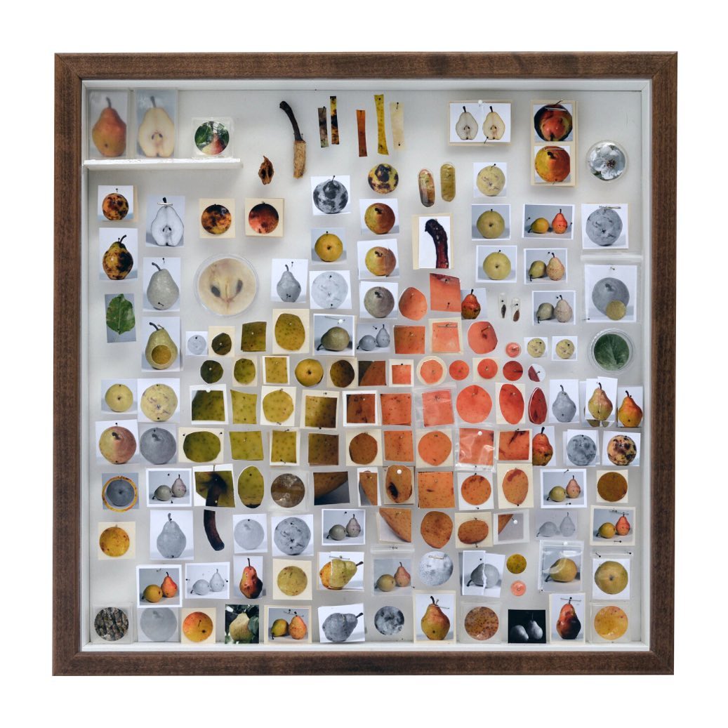 Fragmented Faces: Striking Portraiture by Michael Mapes » Design You ...