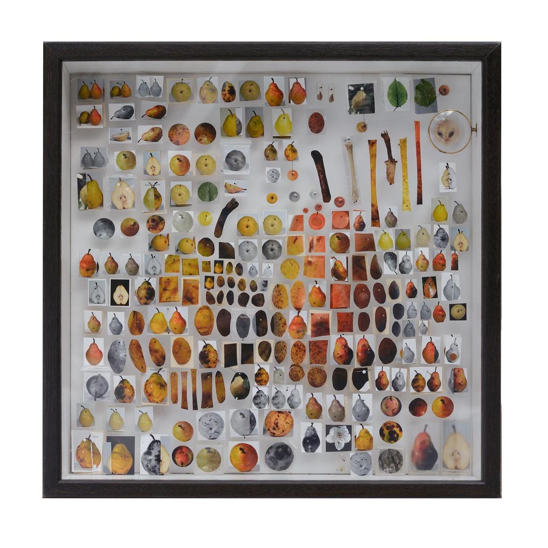 Fragmented Faces: Striking Portraiture by Michael Mapes » Design You ...