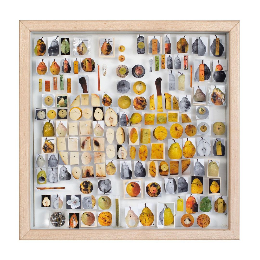 Fragmented Faces: Striking Portraiture by Michael Mapes » Design You ...