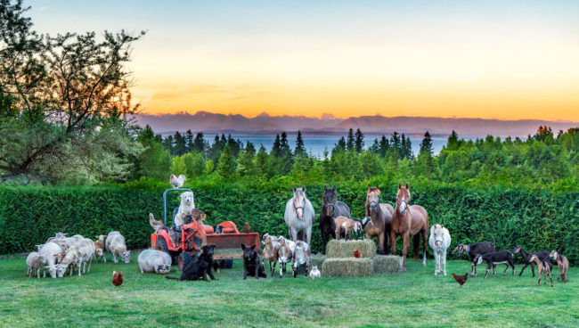 Farmily: Photographer Shares Stunning Collection of Favorite Farm ...