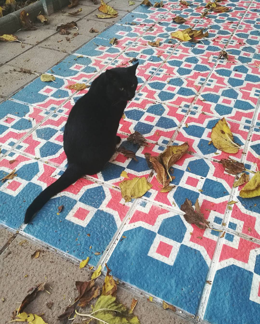 Catalan Artist Javier de Riba Brings Coziness to Outdoor Spaces with ...