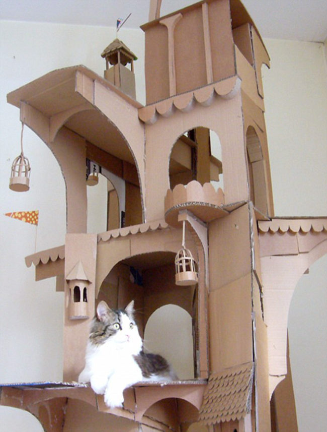 Cardboard Cat Forts: The Ultimate DIY Project for Feline Fun » Design ...