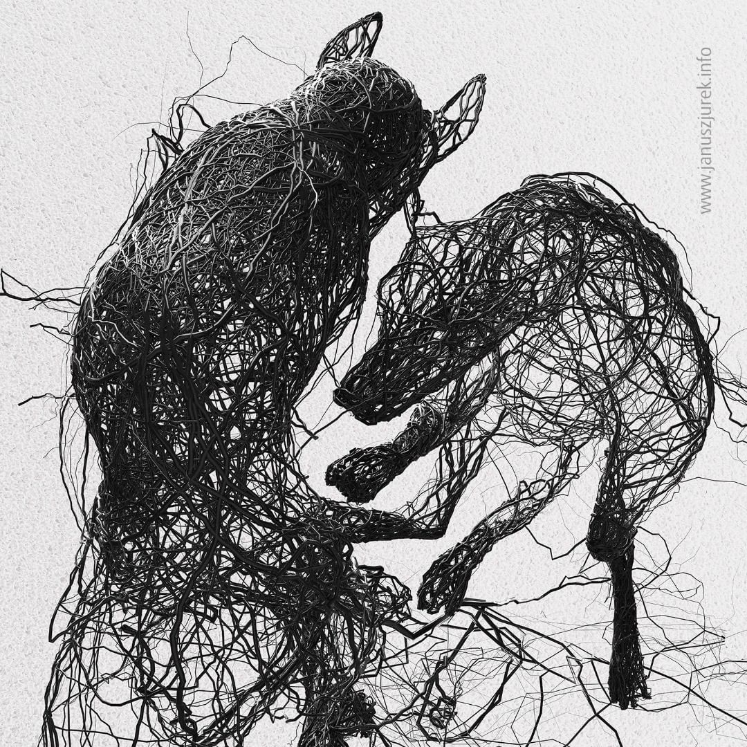 The Mesmerizing Abstract Silhouettes of Digital Artist Janusz Jurek ...