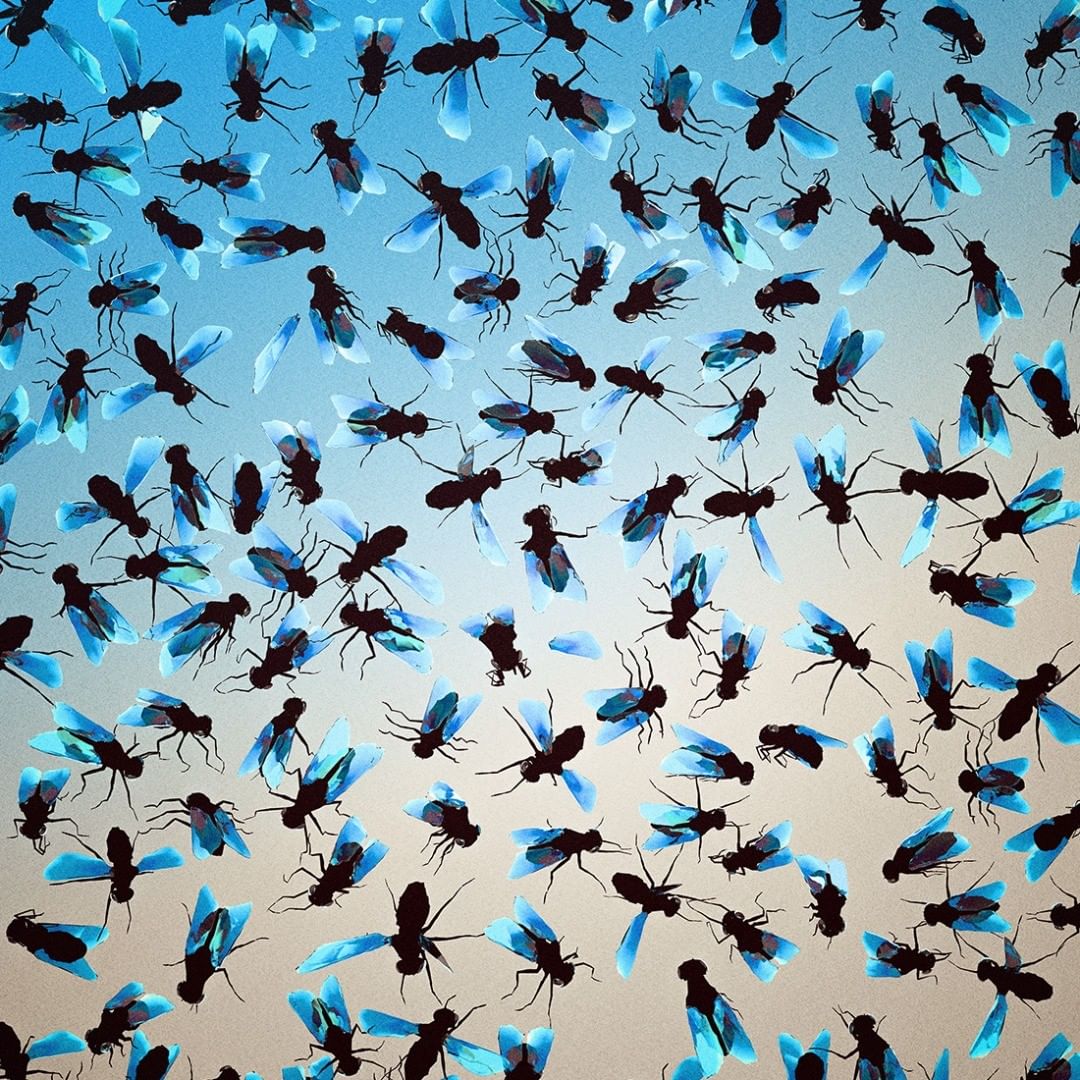 The Mesmerizing Abstract Silhouettes of Digital Artist Janusz Jurek ...