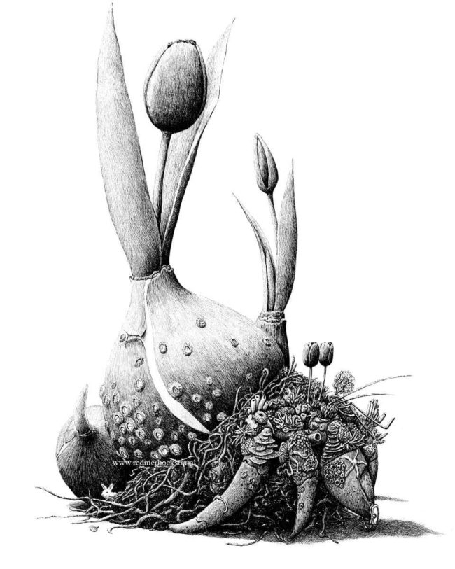 Redmer Hoekstra, An Artist Who Revives Childhood Fantasies Through His ...