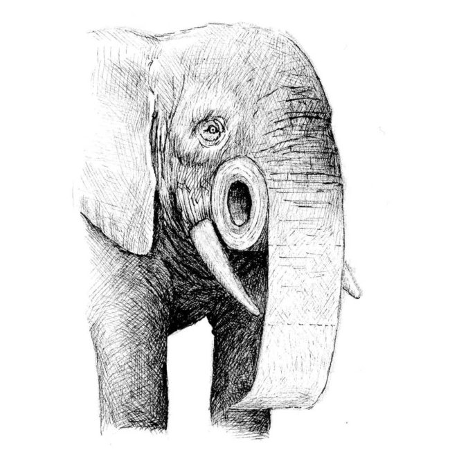 Redmer Hoekstra, An Artist Who Revives Childhood Fantasies Through His ...