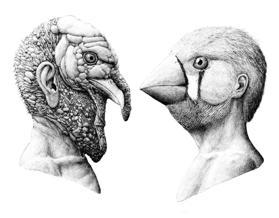 Redmer Hoekstra, An Artist Who Revives Childhood Fantasies Through His ...