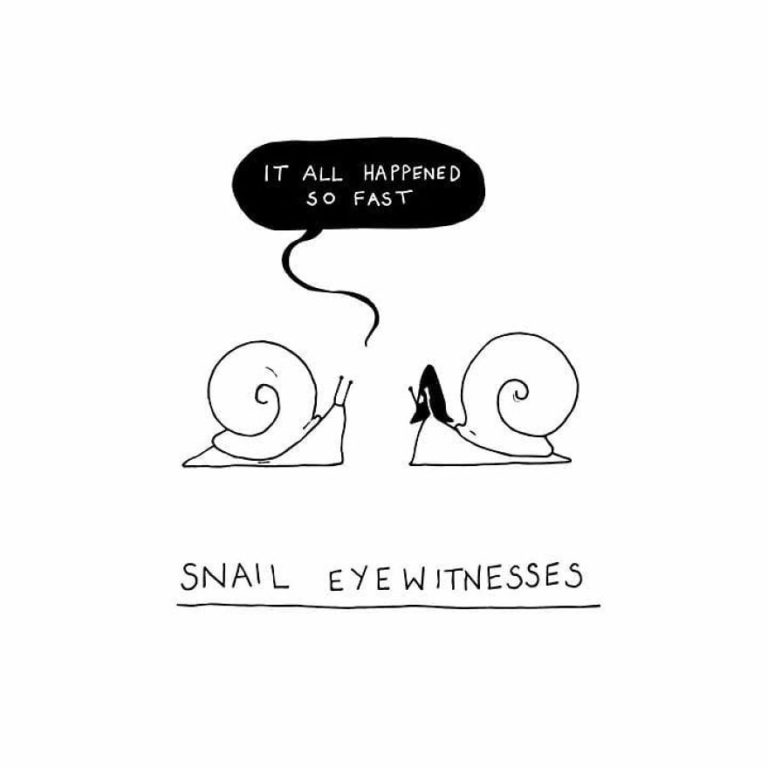 A Collection of Dumb Comics for Smart People by Daniel Seex » Design ...