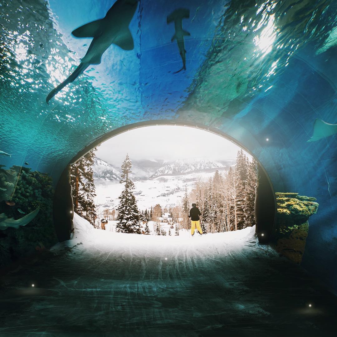 Exploring the Power of Surreal Landscapes – The Otherworldly Art of ...