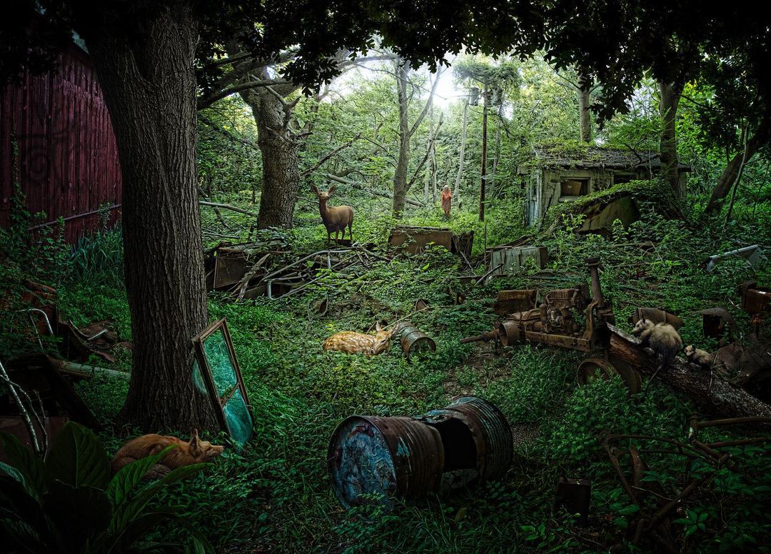 Exploring Post-Apocalyptic Nature and Environmental Issues through ...