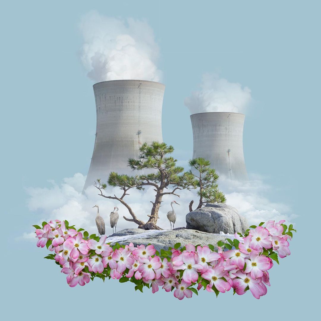 Exploring Post-Apocalyptic Nature and Environmental Issues through ...