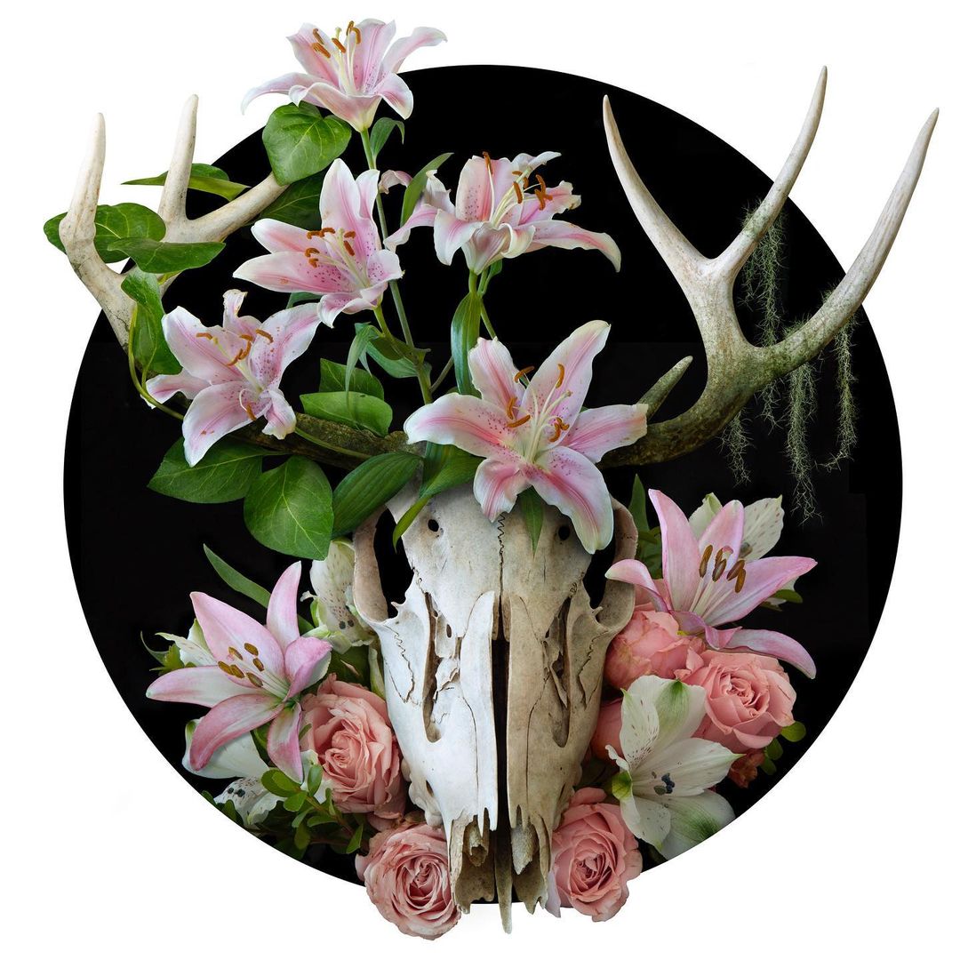 Exploring Post-Apocalyptic Nature and Environmental Issues through ...