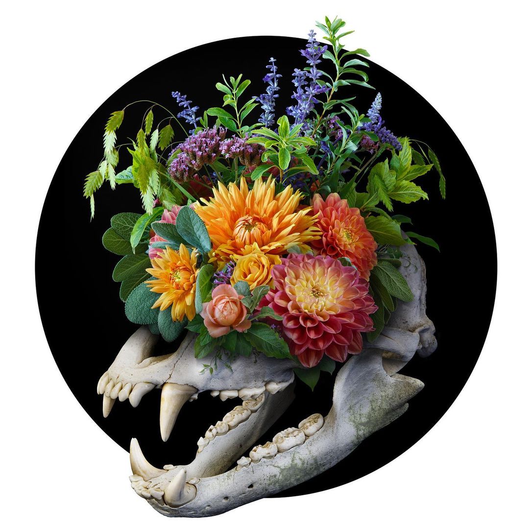 Exploring Post-Apocalyptic Nature and Environmental Issues through ...