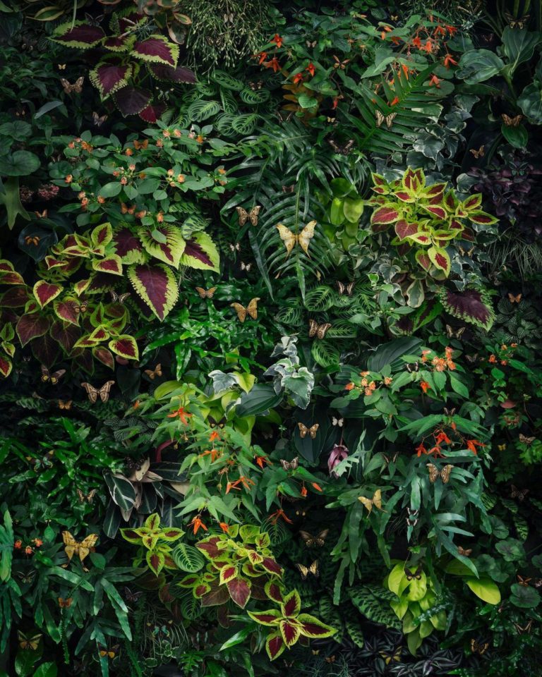 Exploring Post-Apocalyptic Nature and Environmental Issues through Digital Arworks of Nick ...