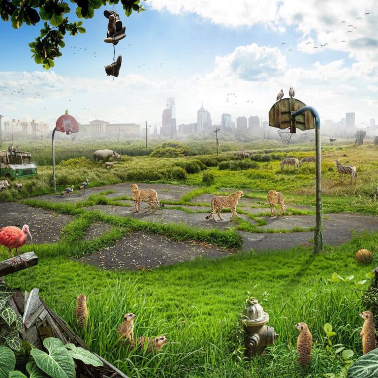 Exploring Post-Apocalyptic Nature and Environmental Issues through ...