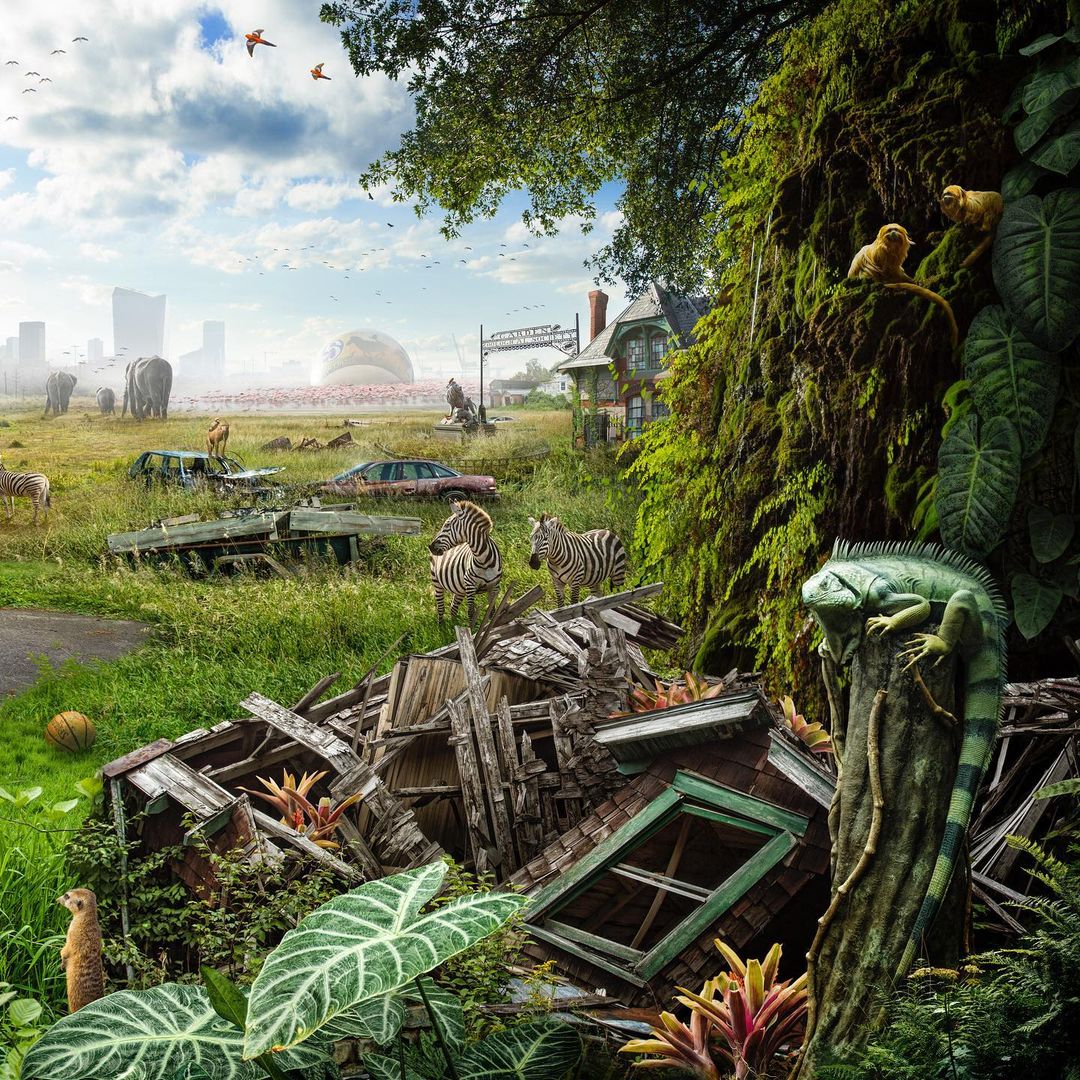 Exploring Post-Apocalyptic Nature and Environmental Issues through ...