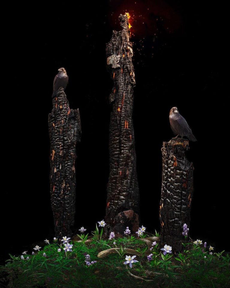 Exploring Post-Apocalyptic Nature and Environmental Issues through ...