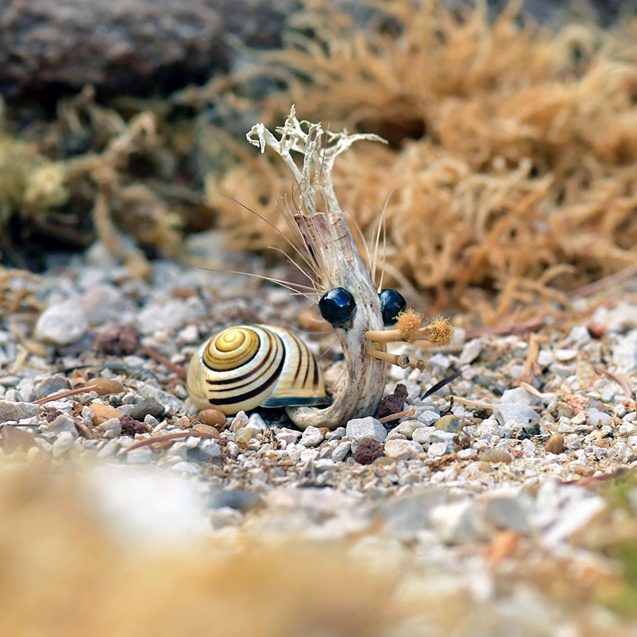 This Artist Crafts Tiny Forest Creatures from Natural Elements » Design ...