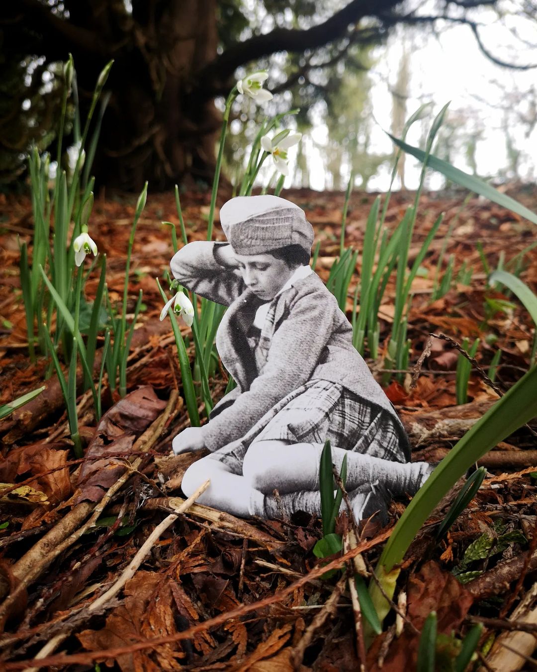 Discovering the Beauty of Wild Collaging with Artist Francesca Lawrence ...