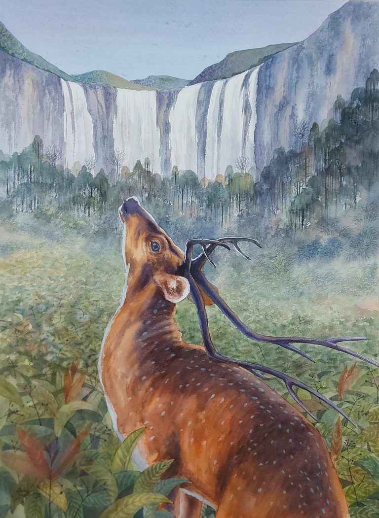 Preserving Moments in Time: The Power of Visual Art to Capture Our ...