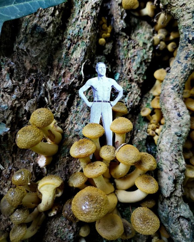 Discovering the Beauty of Wild Collaging with Artist Francesca Lawrence ...