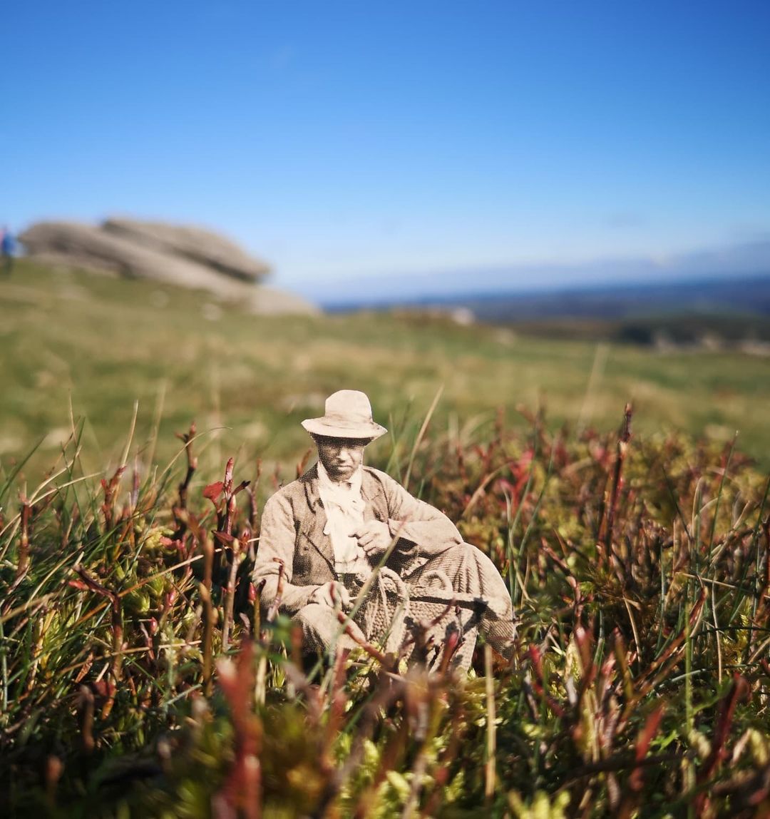 Discovering the Beauty of Wild Collaging with Artist Francesca Lawrence ...