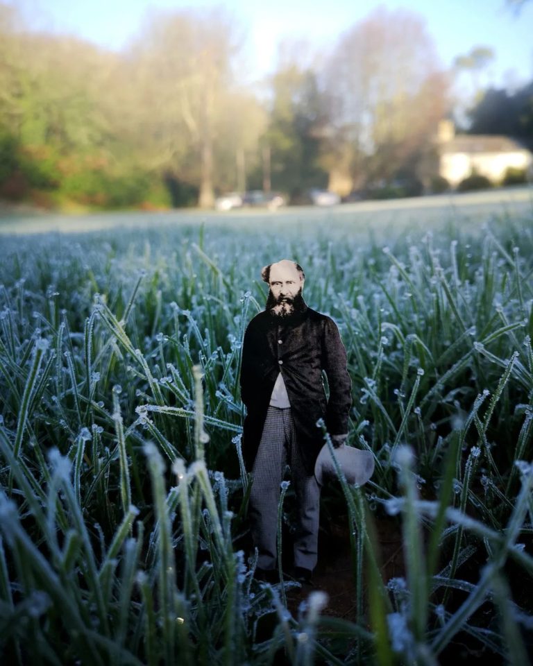 Discovering the Beauty of Wild Collaging with Artist Francesca Lawrence ...