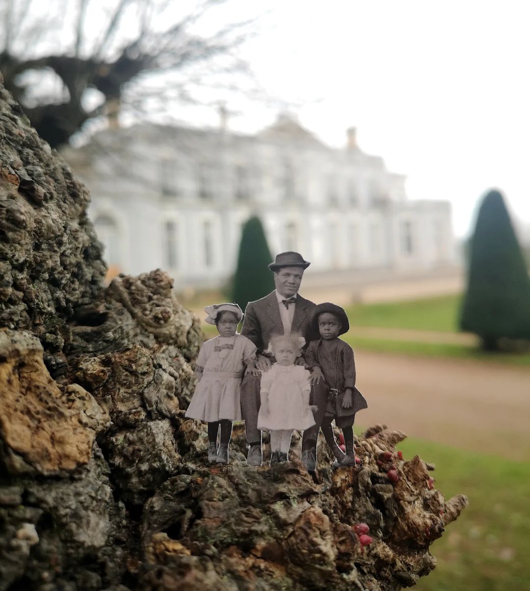 Discovering the Beauty of Wild Collaging with Artist Francesca Lawrence ...