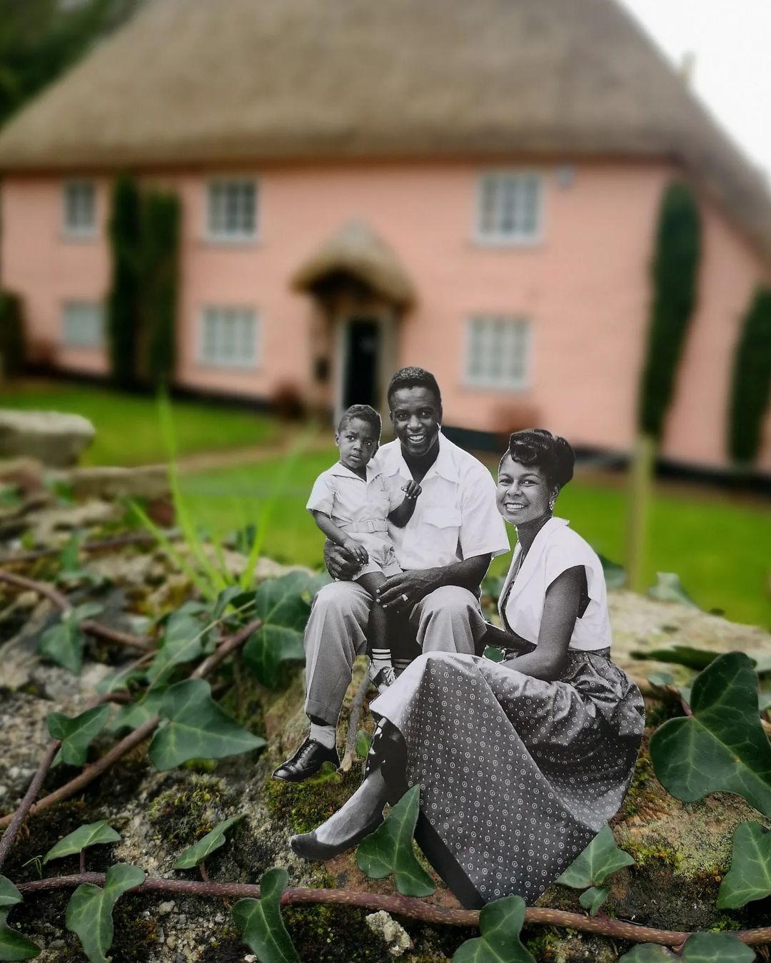 Discovering the Beauty of Wild Collaging with Artist Francesca Lawrence ...