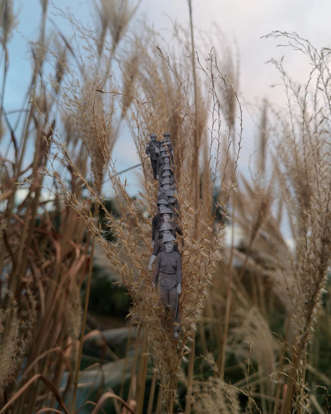 Discovering the Beauty of Wild Collaging with Artist Francesca Lawrence ...