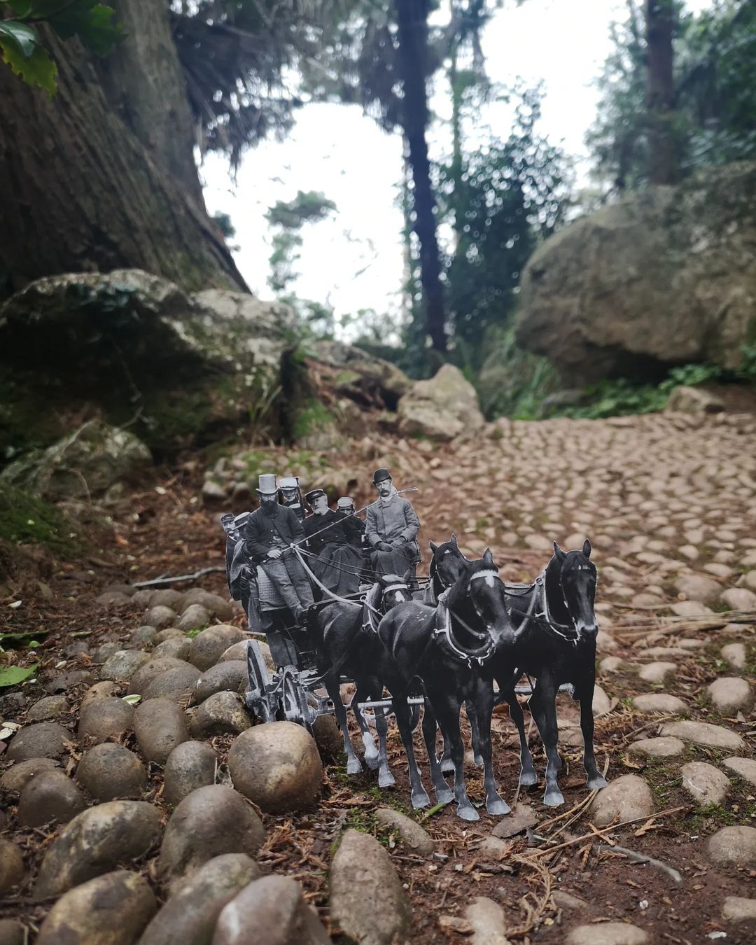 Discovering the Beauty of Wild Collaging with Artist Francesca Lawrence ...