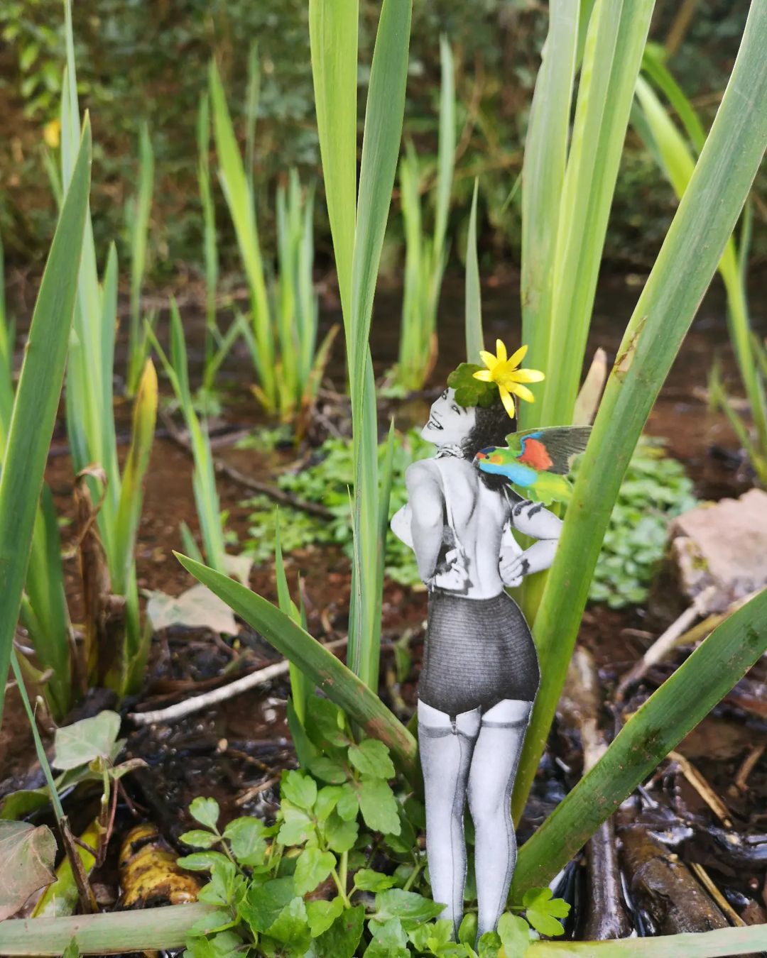 Discovering the Beauty of Wild Collaging with Artist Francesca Lawrence ...