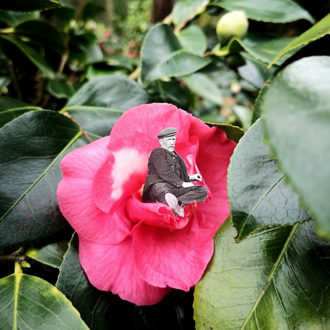 Discovering the Beauty of Wild Collaging with Artist Francesca Lawrence ...