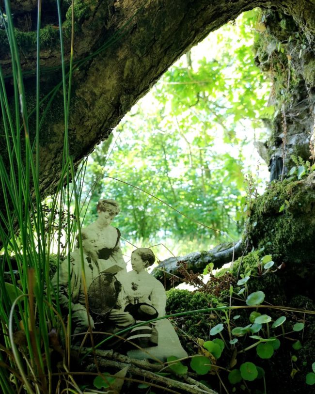 Discovering the Beauty of Wild Collaging with Artist Francesca Lawrence ...