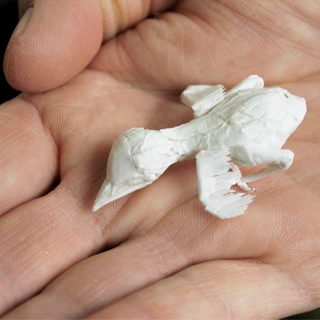 Discovering the Beauty of Paper Art by Peter Callesen » Design You ...