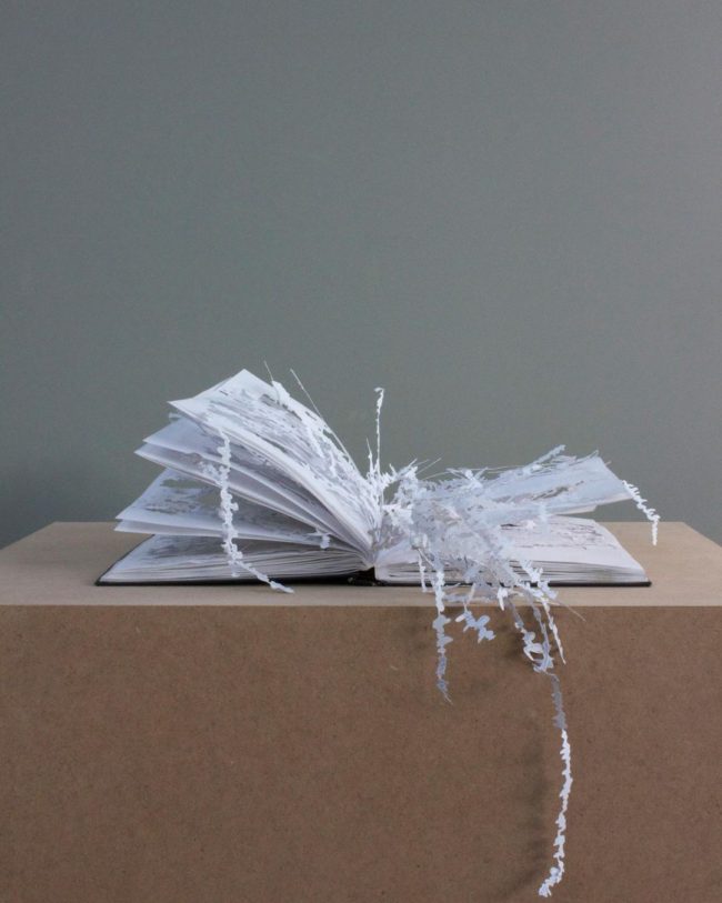Discovering the Beauty of Paper Art by Peter Callesen » Design You ...