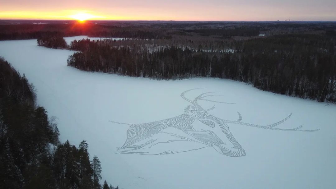Frozen Masterpieces: Pasi Widgren’s Magical Animal Art on Lake ...