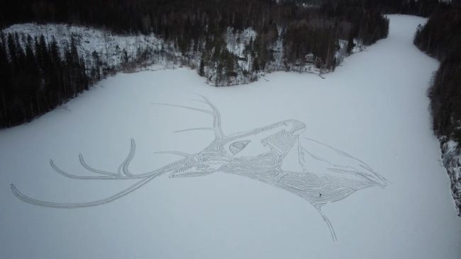 Frozen Masterpieces: Pasi Widgren’s Magical Animal Art on Lake ...