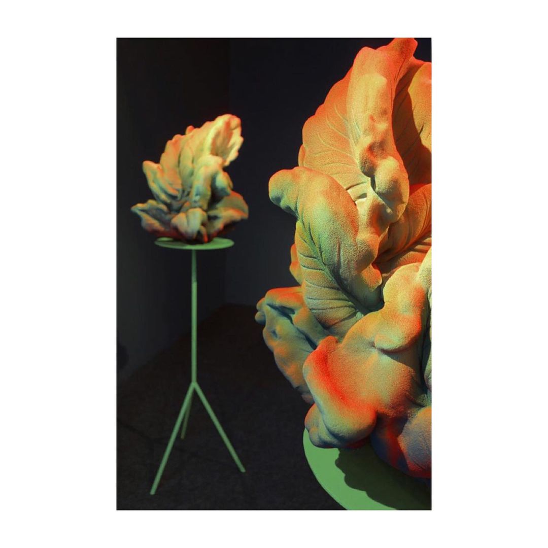 Organic Elegance: Exploring the Ceramic Art of Claire Lindner » Design ...