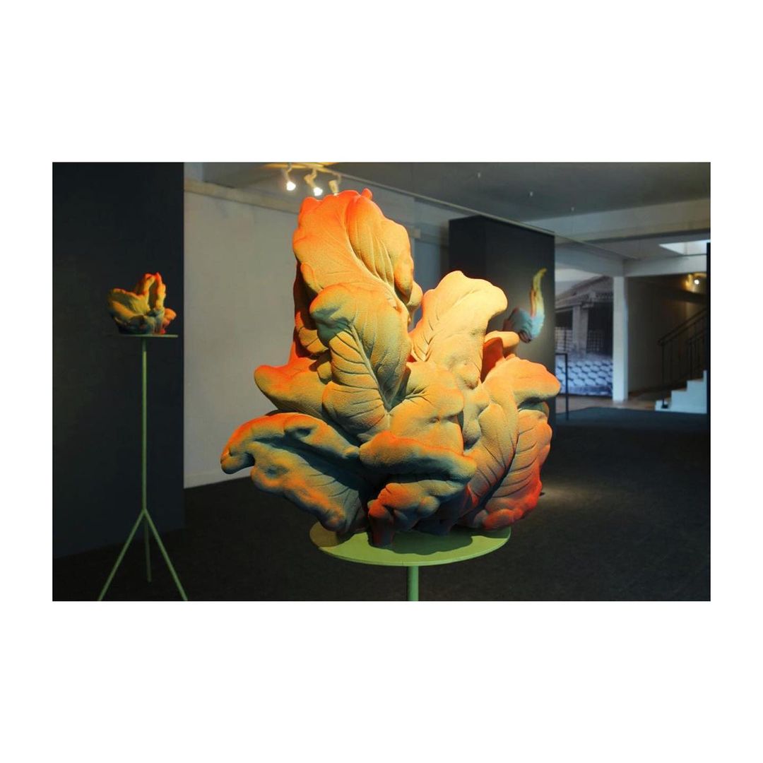 Organic Elegance: Exploring the Ceramic Art of Claire Lindner » Design ...