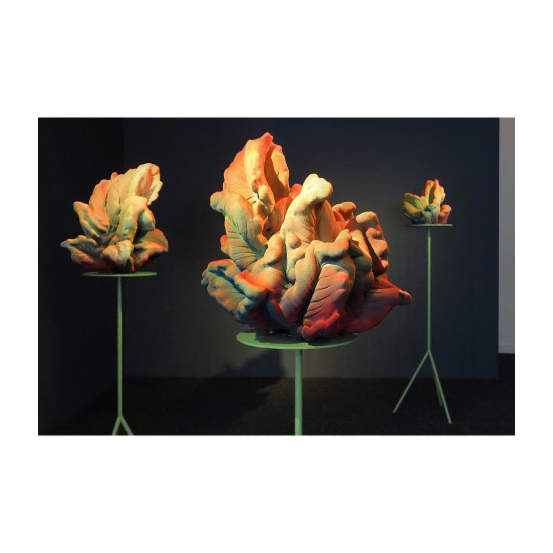 Organic Elegance: Exploring the Ceramic Art of Claire Lindner » Design ...